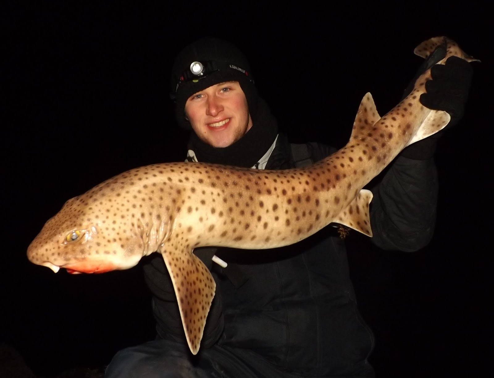 Mission Impossible : To catch 100 species of saltwater fish from ...