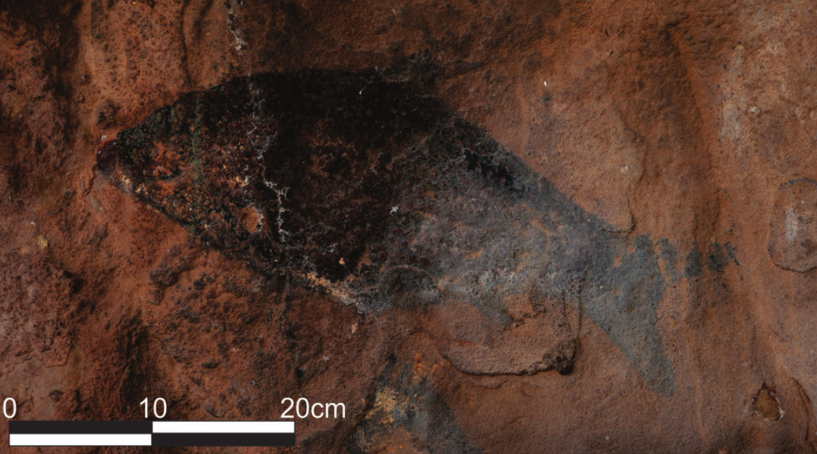 Earliest dated rock art in Southern Africa depicts shamans' journey to ...