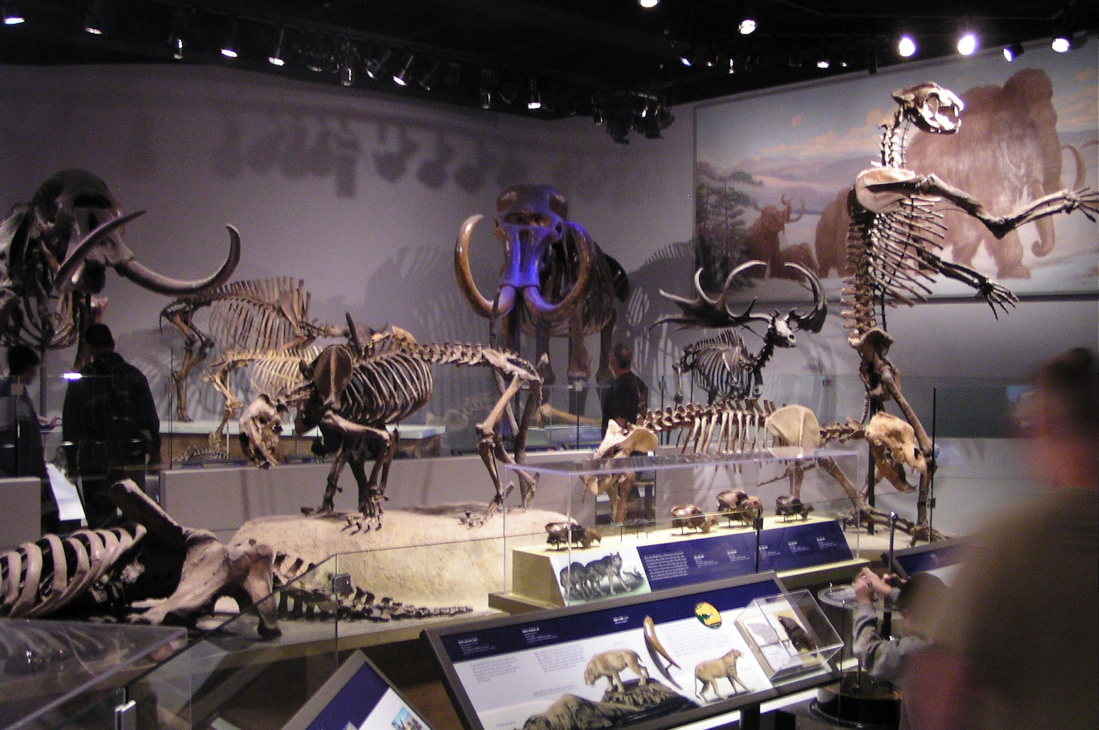 Travel with Kevin and Ruth: The Field Museum of Natural History