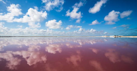 Hotel María de la Luz: Conoce el mar rosa de Yucatán -México