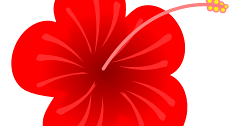 Tren Gaya 76+ Bunga Raya PMG