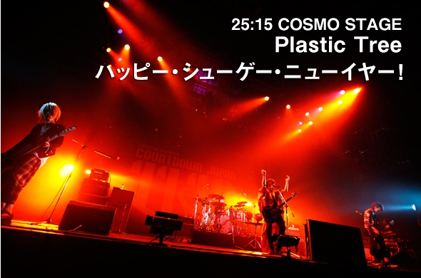 Plastic Tree Chile.: Plastic Tree: COUNTDOWN 11/12 (Live Report)