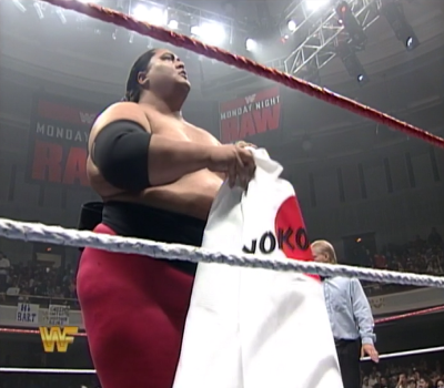 Retro Oasis: A Taste of the New Generation: Broken Harts: WWF Monday ...