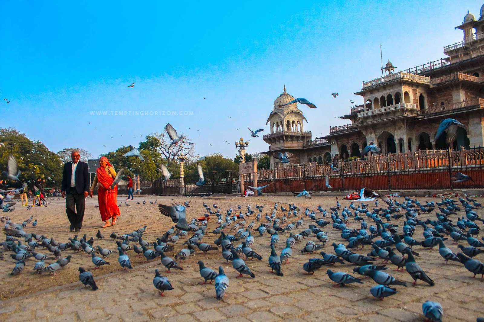 Colours of Jaipur - Exploring Jaipur in two days! - TEMPTING HORIZON