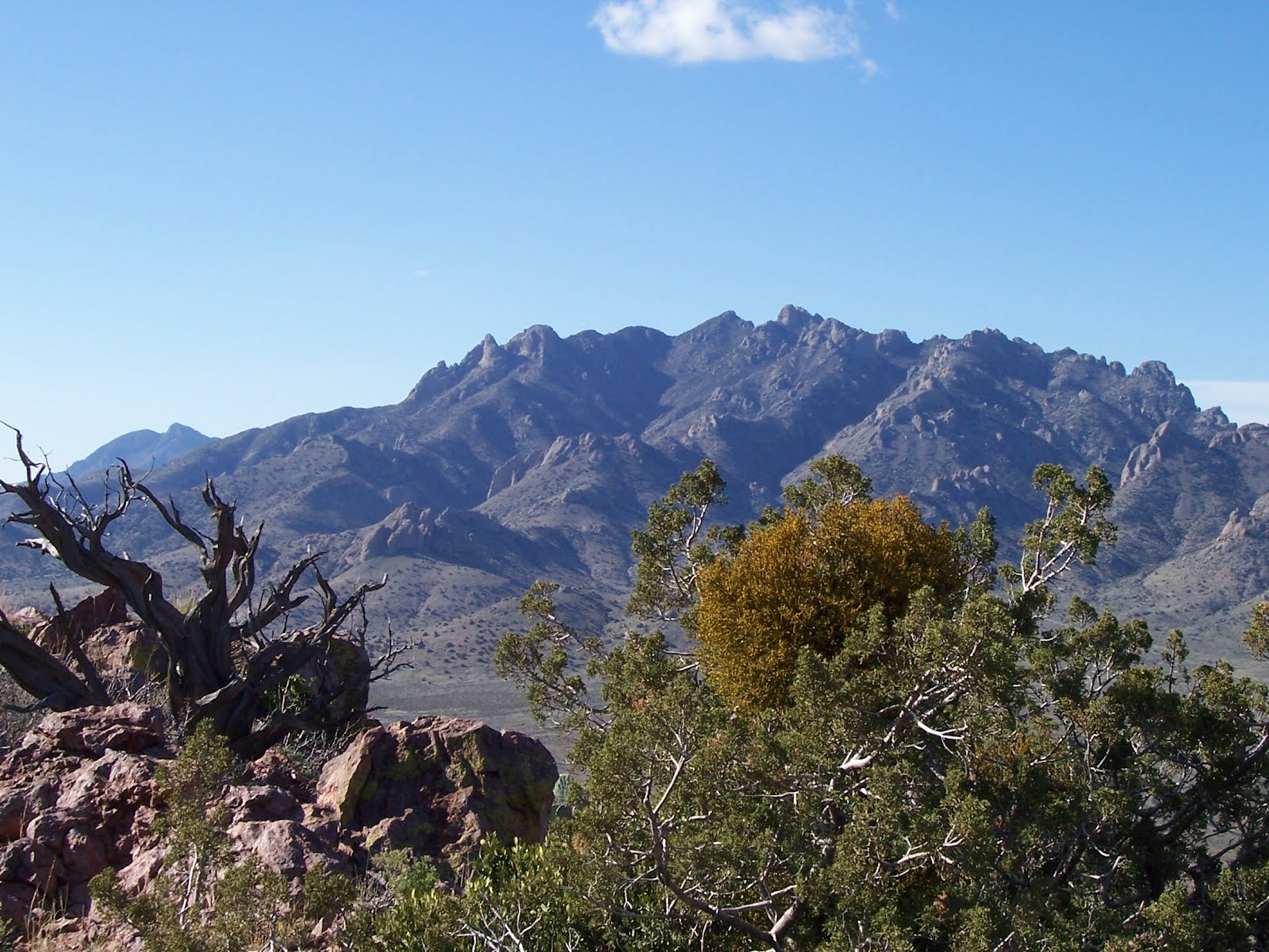 Southern New Mexico Explorer: Little Florida Mountains