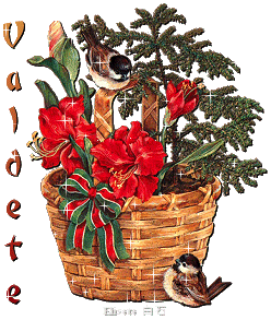 Assinaturas com V: Valdete