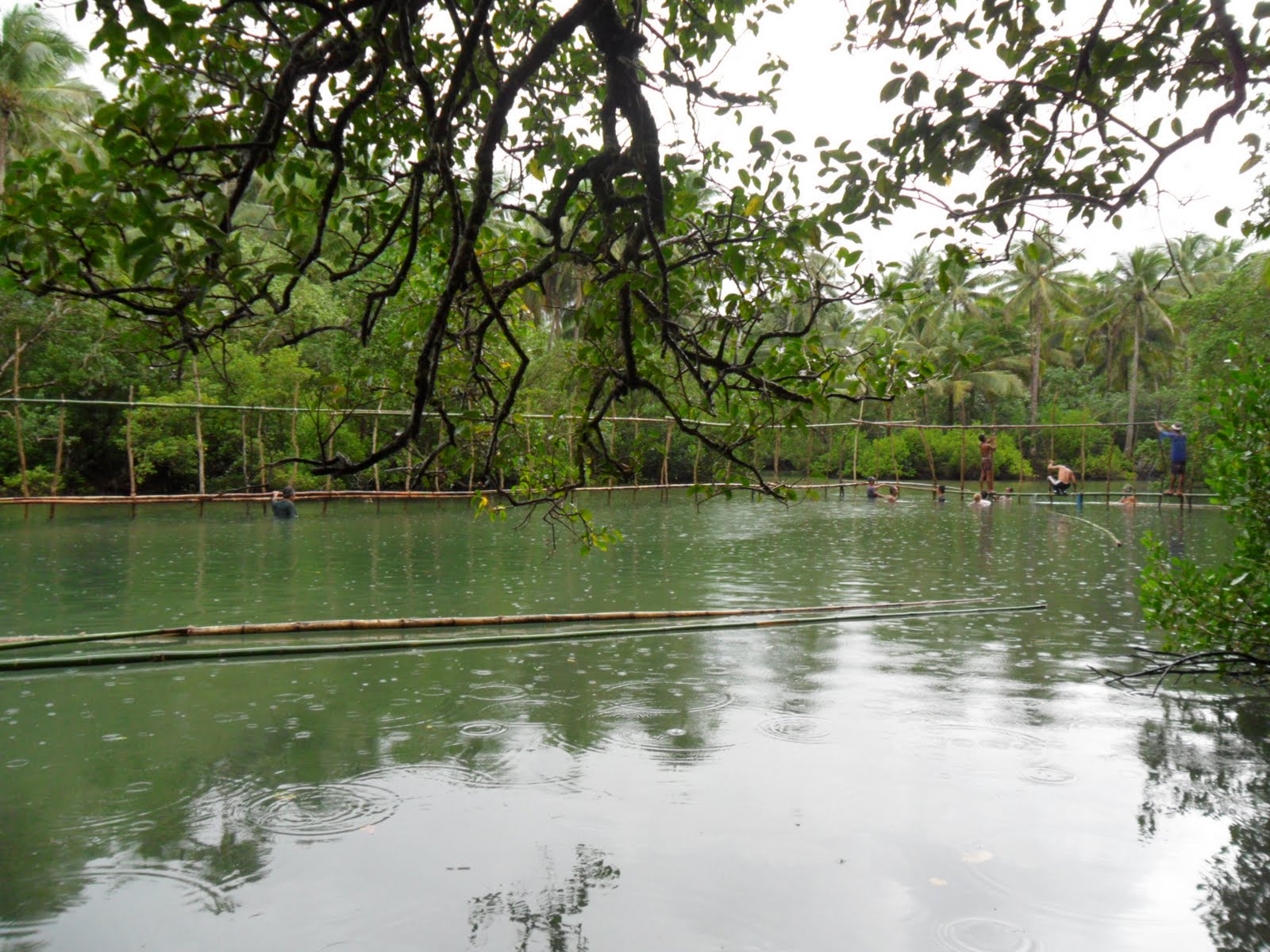 weltwaerts auf den Philippinen: Bangus Cage Construction