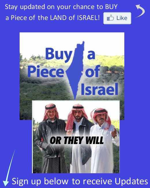 Andrea Carancini: Jo Ann Wescott: i profittatori di guerra Ken O' Keefe ...