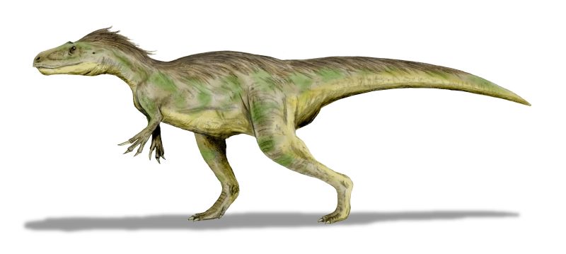 Extinct Animal of the Week: The Amazingly Empty Skeleton