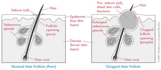 Xiao Vee: Indonesian Beauty Blogger: Etude House Wonder Pore Freshner ...