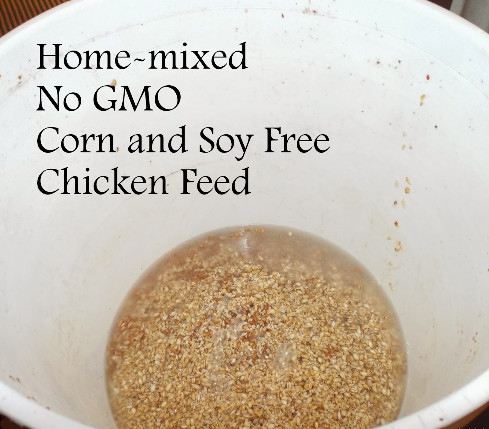 The Cheerful Agrarian: Home-mixed No GMO Corn and Soy Free Chicken Feed ...
