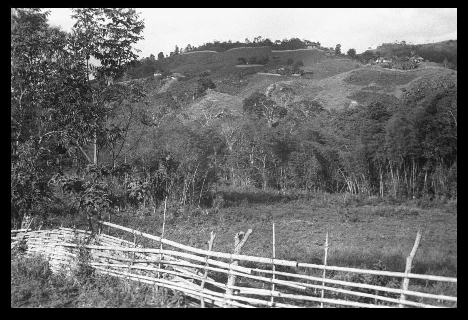 FOTOS ANTIGUAS DE TIMANA HUILA AÑOS 30s