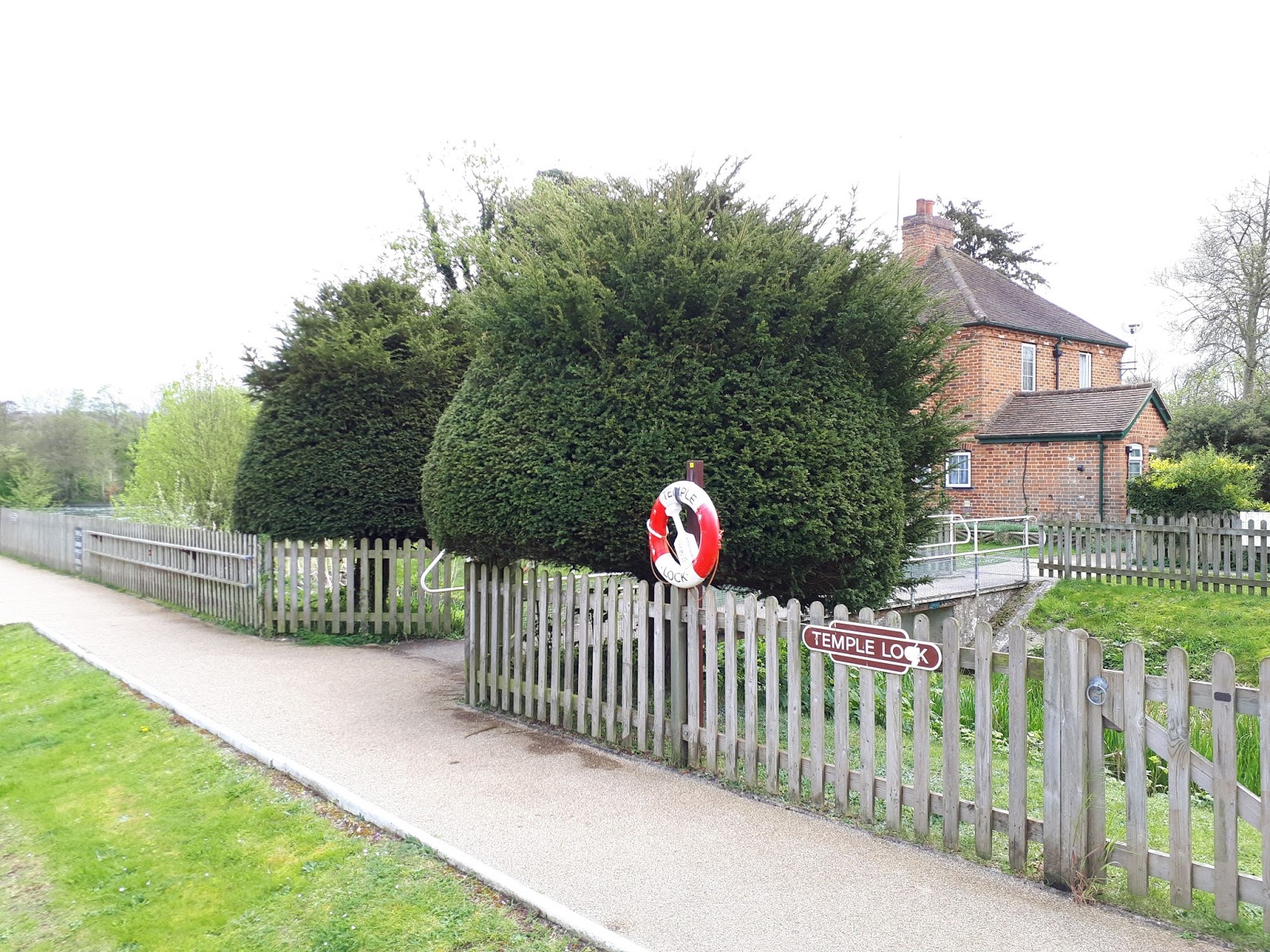 and Millie makes three: Remenham Farm Moorings (River Thames) – Monday ...