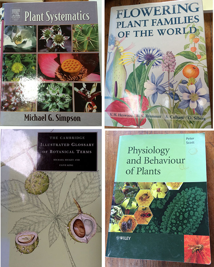 CLARE MITTEN: Research/Studio Visit: Sarah Simblet