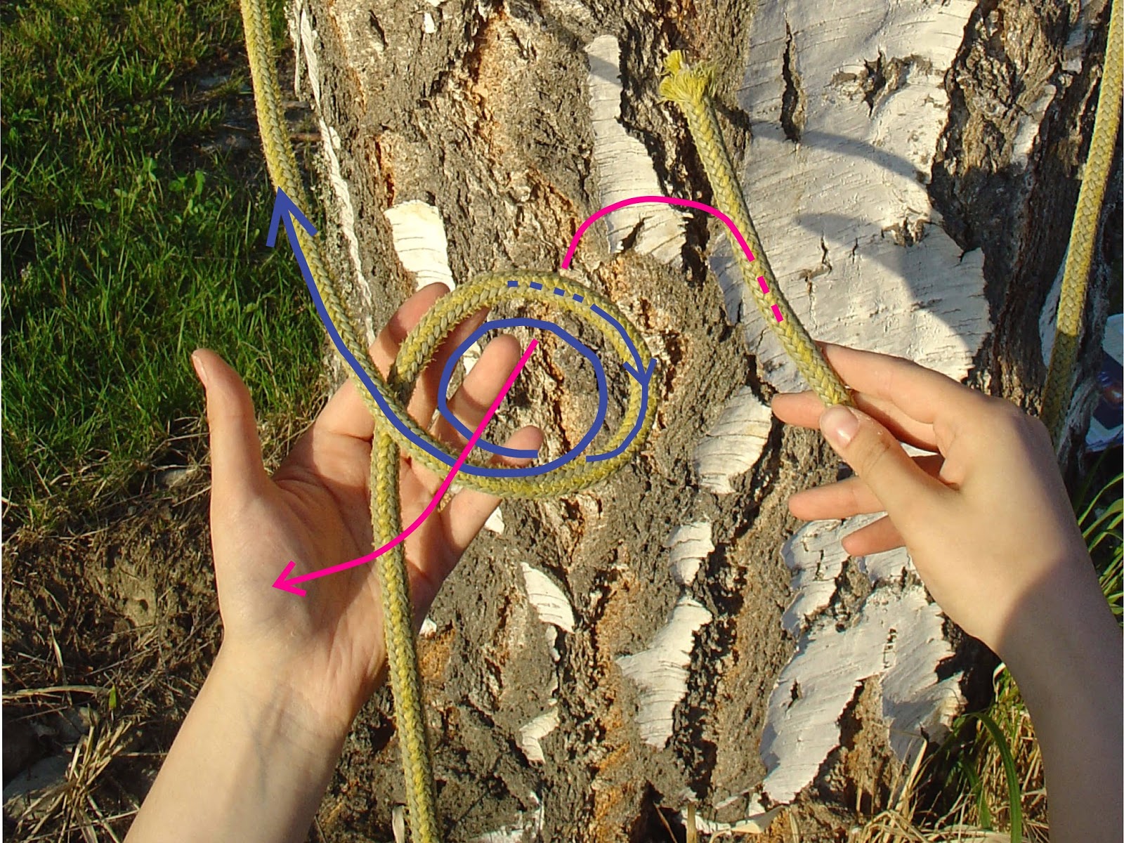 Solmukas: Paalusolmu