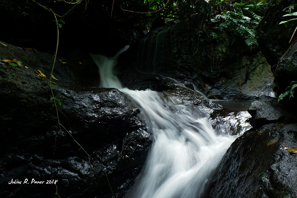 LOGSAC: Crisscrossing Mt. Loay to Kiblan route