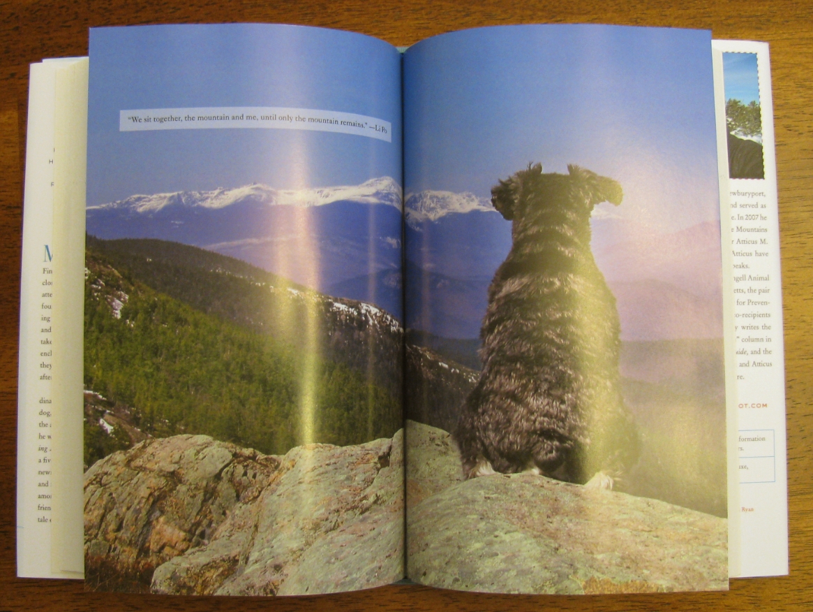 Tom Ryan's Following Atticus Book Signing Event at Newington's Barnes ...