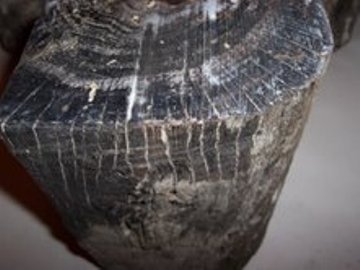 Michael T Shue Studios Wood Blog: Celtic Irish Bog Oak