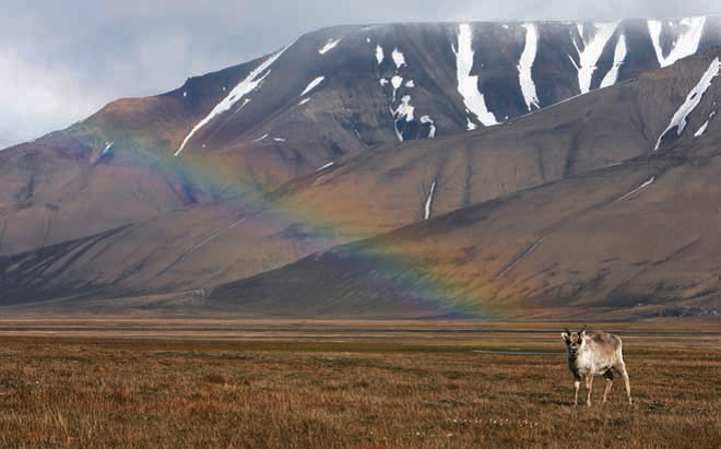 SEXTO GRADO GRUPO "D".: LOS COMPONENTES NATURALES DE LA TIERRA.
