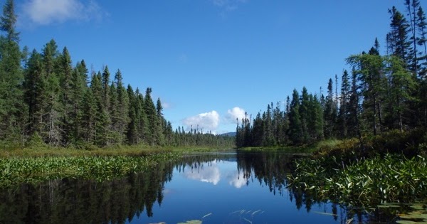 Musings: Paddling the Upper Osgood River