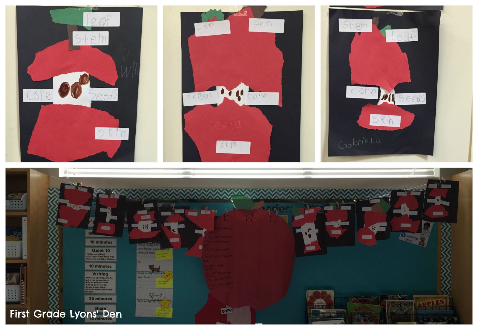 First Grade Lyons' Den: Apple Diagrams