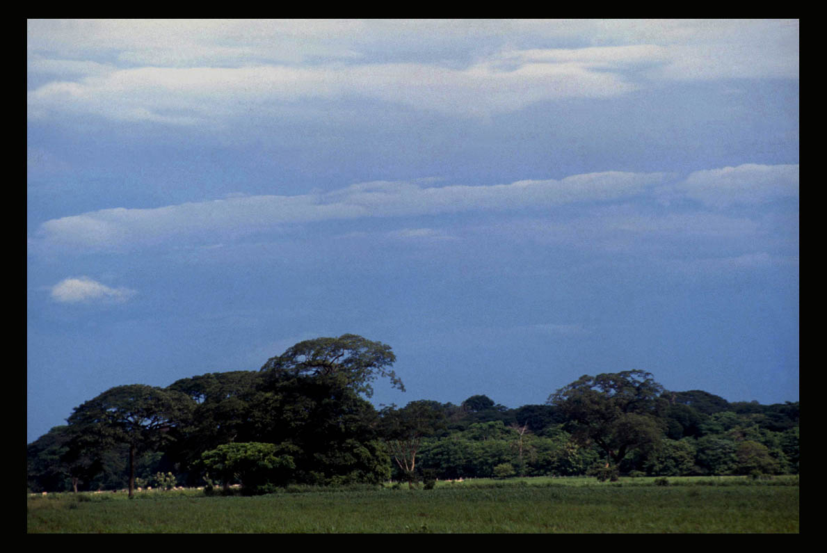 Textos y fotos: LOS LLANOS