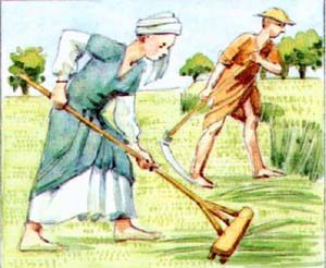 Wereldgeschiedenis: Boeren in de middeleeuwen