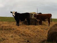 Down On The (Howard Family) Farm