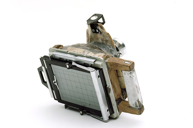 Pix Grove: Fully Functional Cameras Made from Armadillos and Tortoises