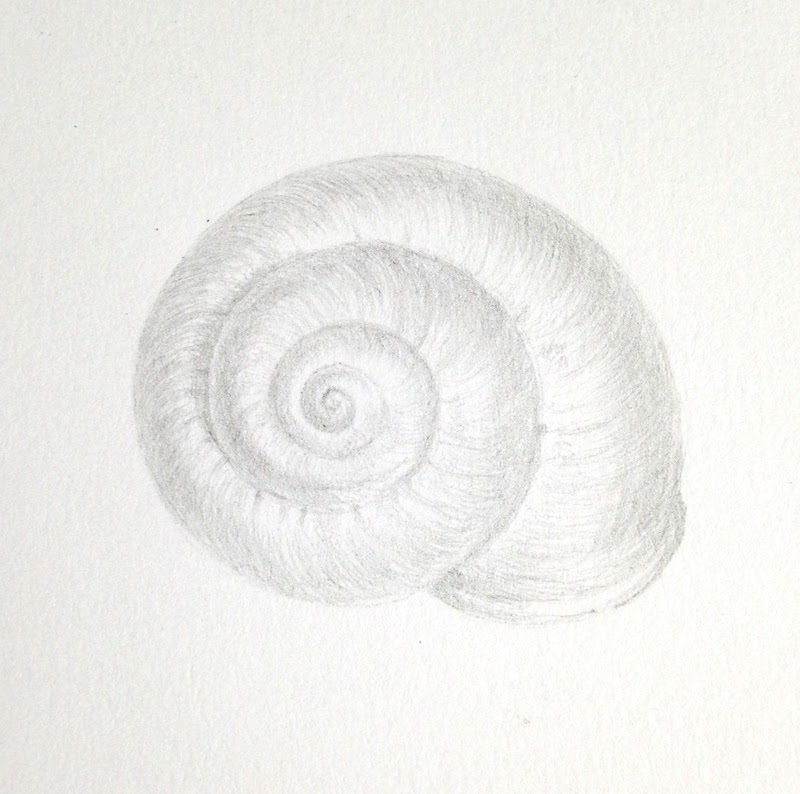 Dianne Sutherland: Drawing and Seeing