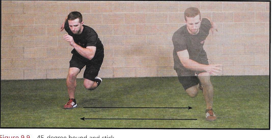 EJERCICIOS PLIOMETRICOS