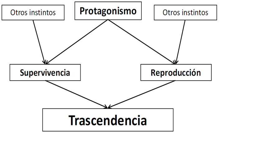 Comportamiento Humano: Protagonismo