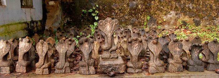 Proud To Be A Hindu: തിരുർ ആലത്തിയൂർ വെള്ളാമശ്ശേരി ഗരുഡന്‍കാവ് ...