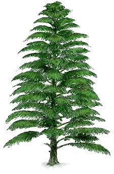 Life Before the Dinosaurs: Archaeopteris.