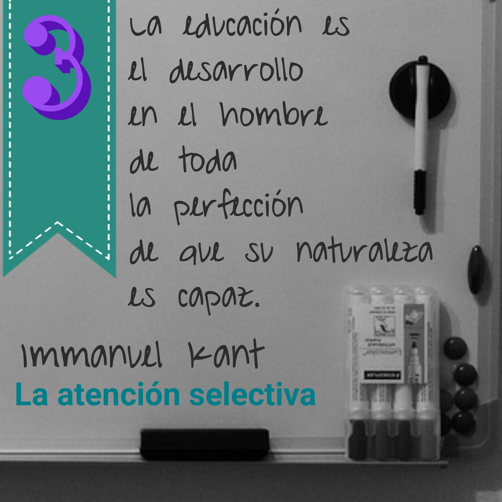 20 FRASES CÉLEBRES PARA COMPRENDER Y AMAR la educación universal ...