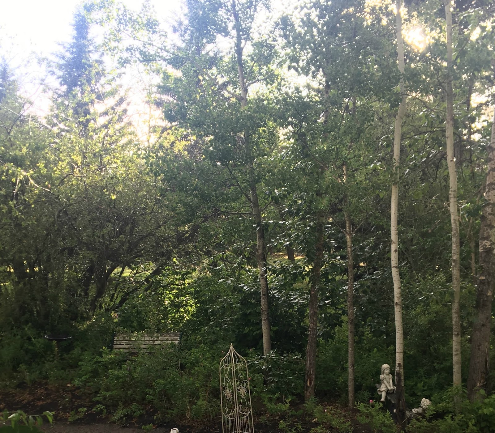 Our Little Cottage in the Big Woods: Quiet Isolation.