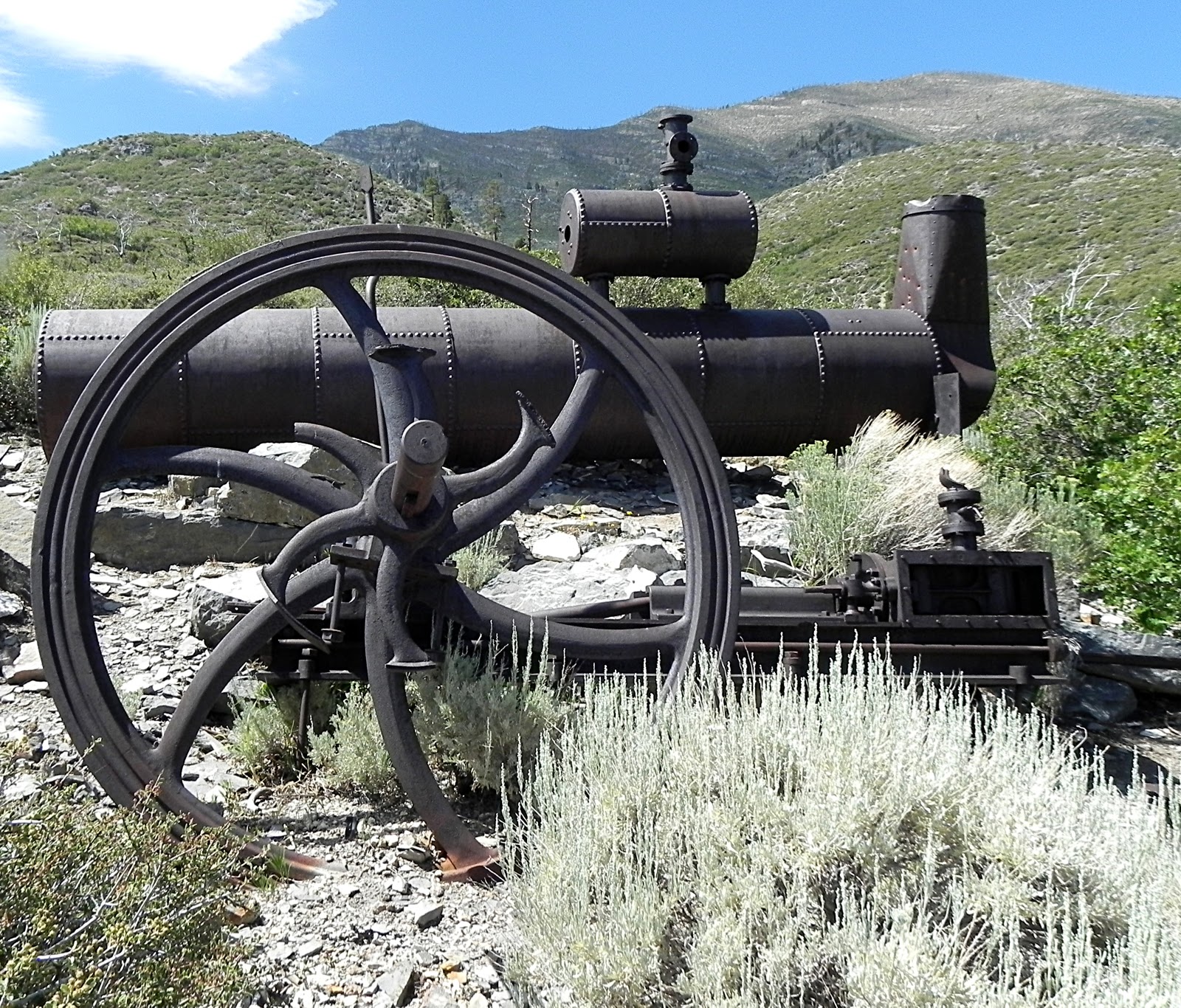 Cold Creek Wild Horses: Welcome to Cold Creek Nevada