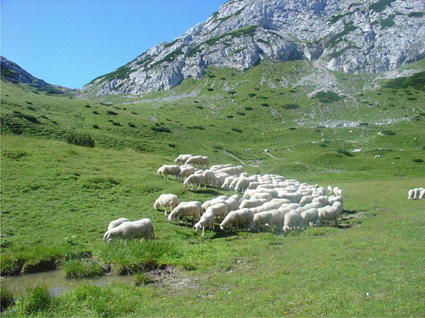 Old European culture: Alps