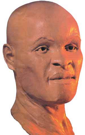 6º Ano: Luzia, O fóssil mais antigo encontrado nas Américas