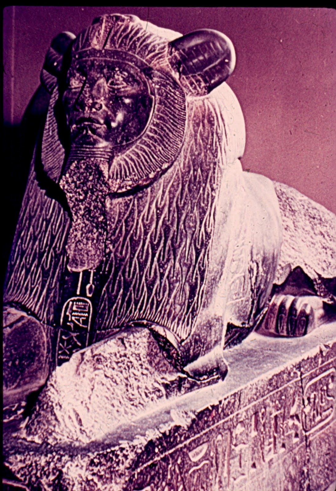 AEGYPTUS ANTIQUA: junio 2016