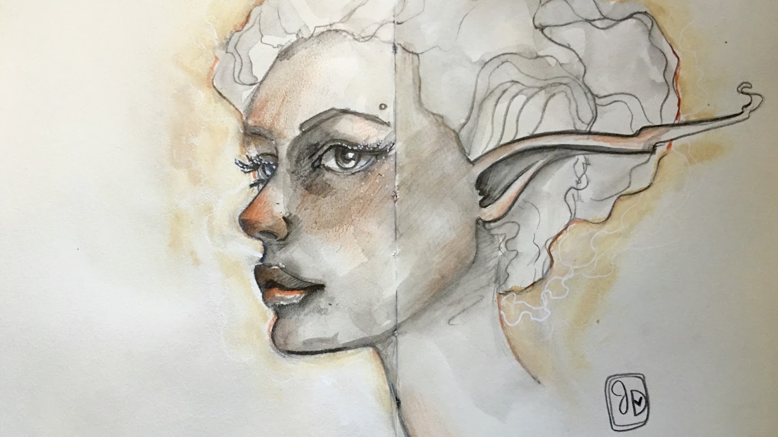 Jamie Dougherty Designs