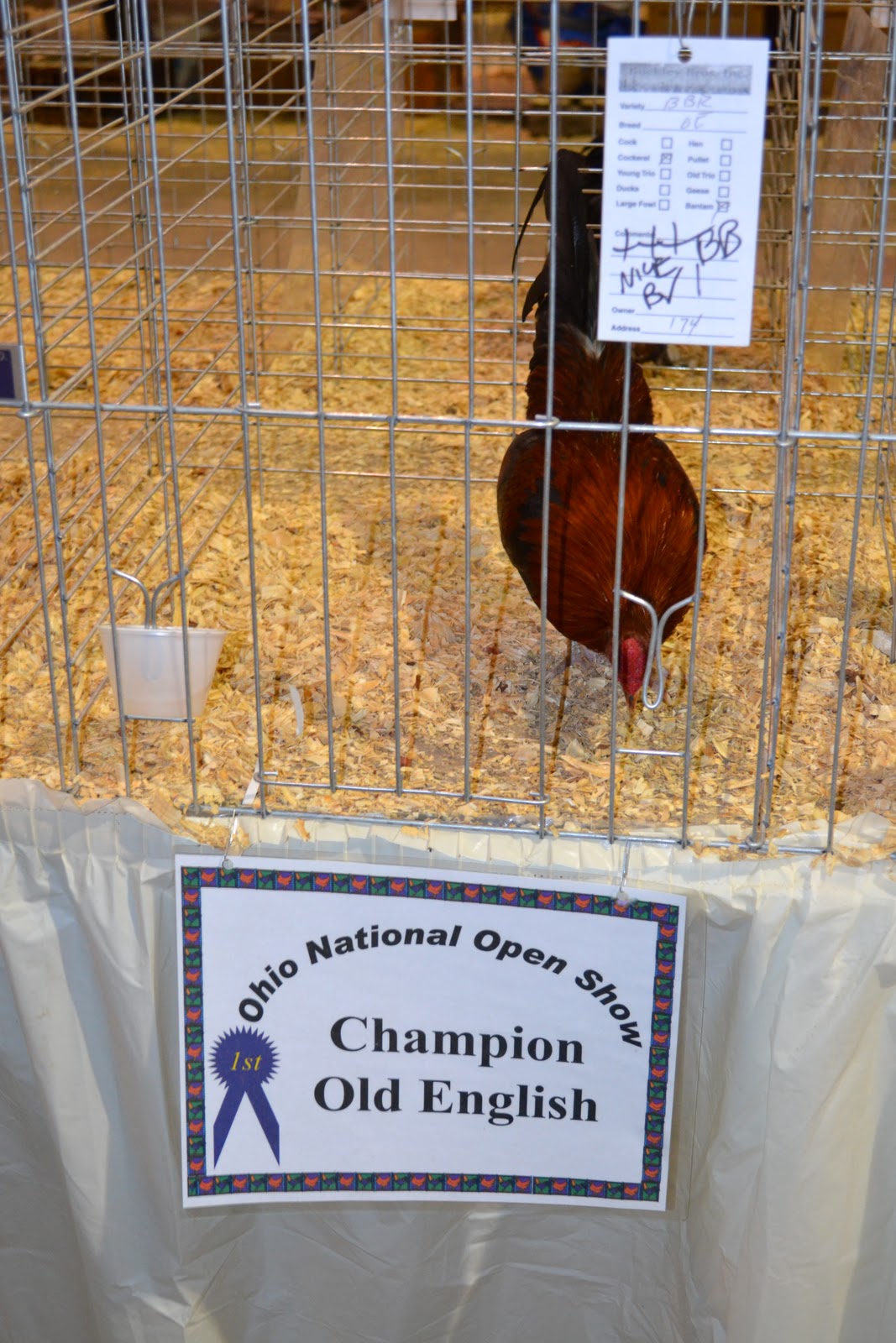 Ohio National Poultry Show: Ohio National Winner Photos