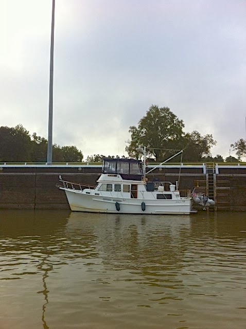 Once in a Blue Moon: Saturday, November 16: A Long Day to the Tensas ...