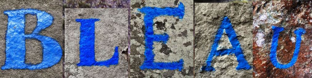 Notre base documentaire | BLEAU : 10 000 ans d'histoire, 1 siècle d ...