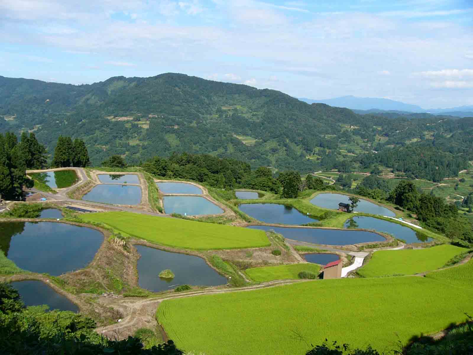 Japanese Used Car dealer "EVERY" BLOG: The nature of Niigata (Yamakoshi ...