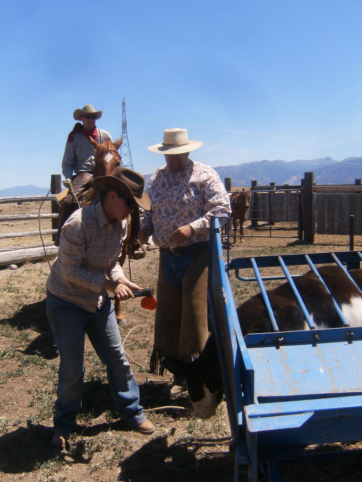 Sagers Family Stories