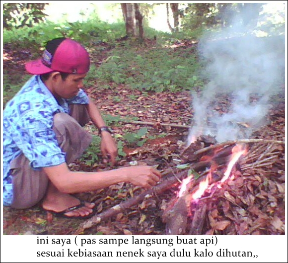 Berbagai Dampak Akibat Penggundulan Hutan (Deforestasi) ~ FORESTER ...