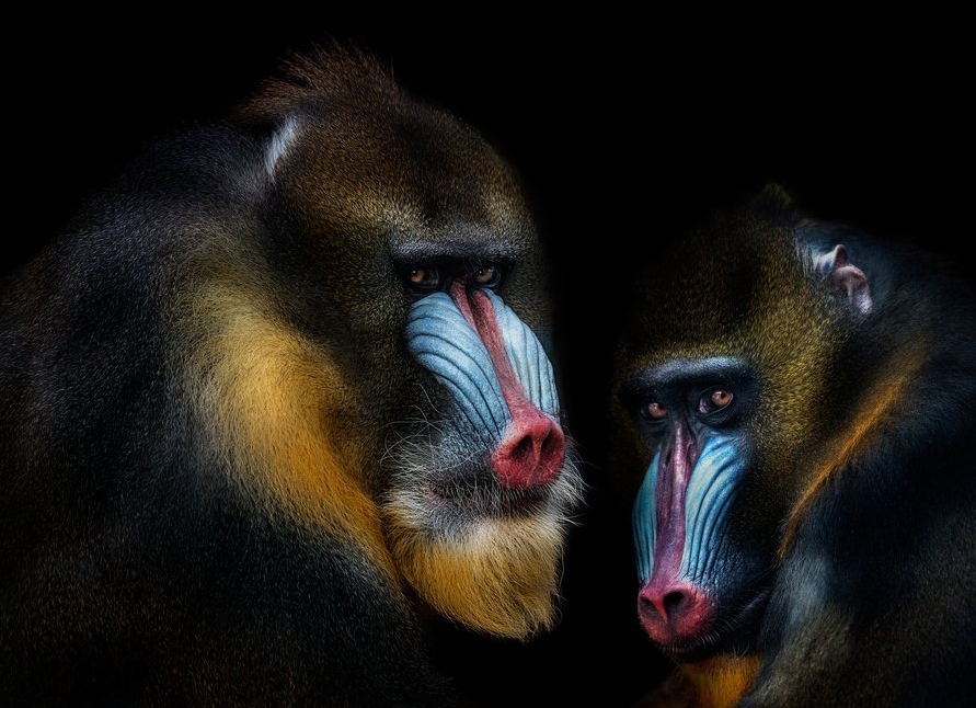 The Iron Empress Blog