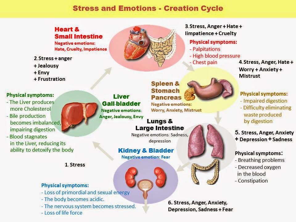 Wanita Paling Stress Di Dunia - Bonda Miza, Pengedar & Leader Shaklee ...