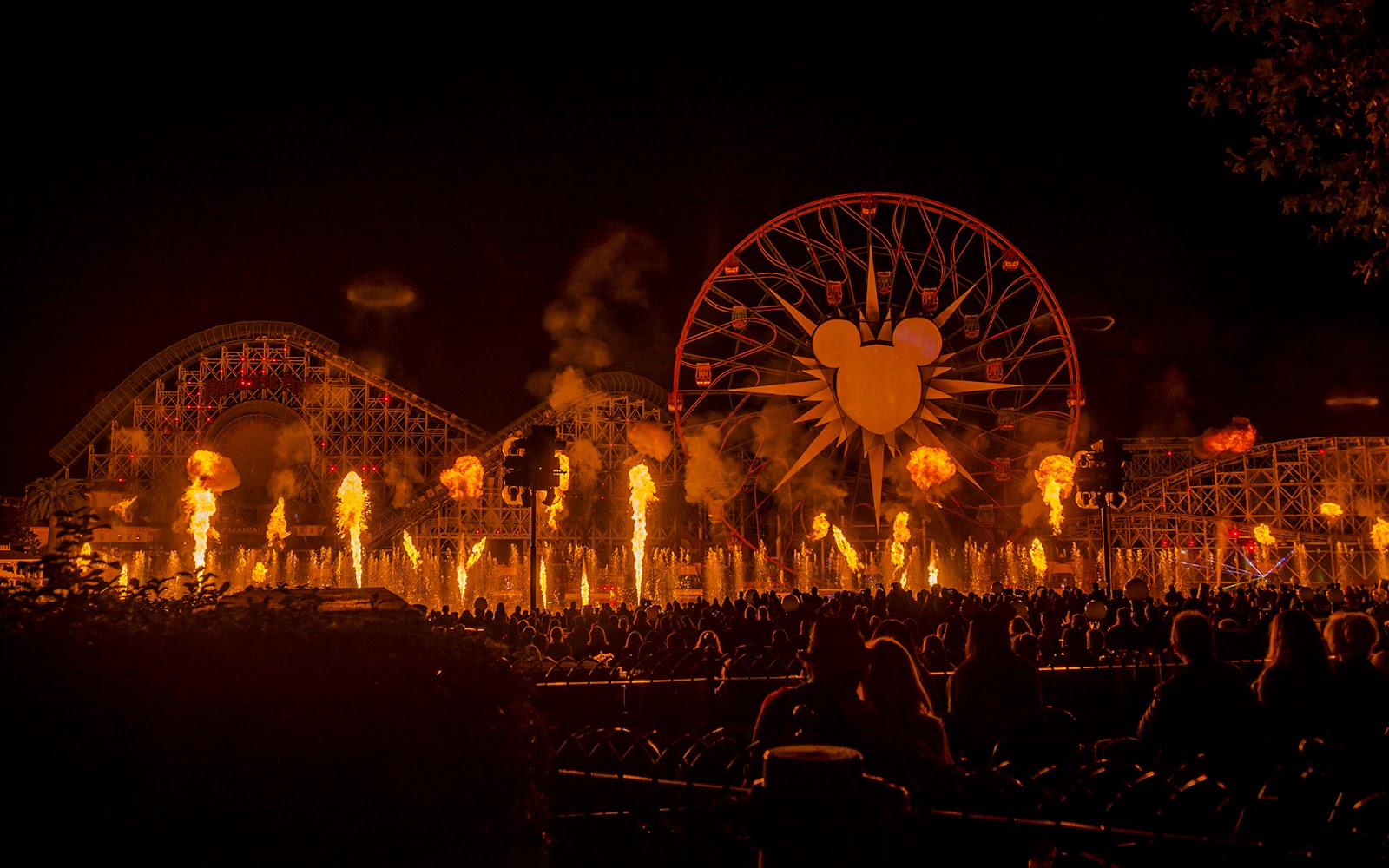 Roasting on an Open Fire